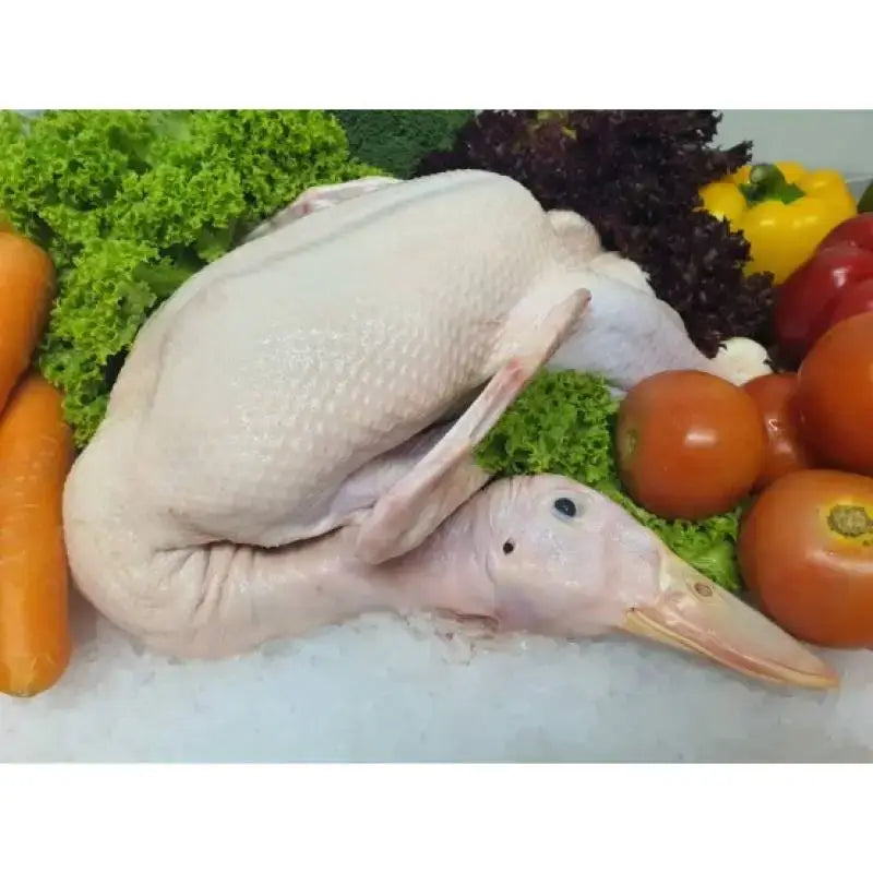 Fresh Frozen Whole Duck 2kg – Leong Hup Food